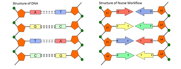 The DNA of Nursing Operations Leads to Better Hospital Designs | Time ...